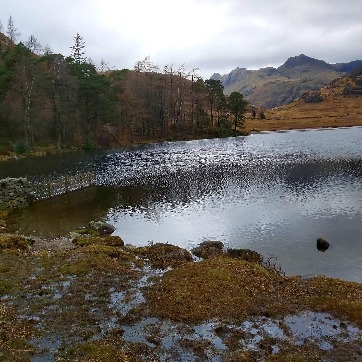 Blea Tarn Walk Guide (All You Need To Know) | The Walking Northerners