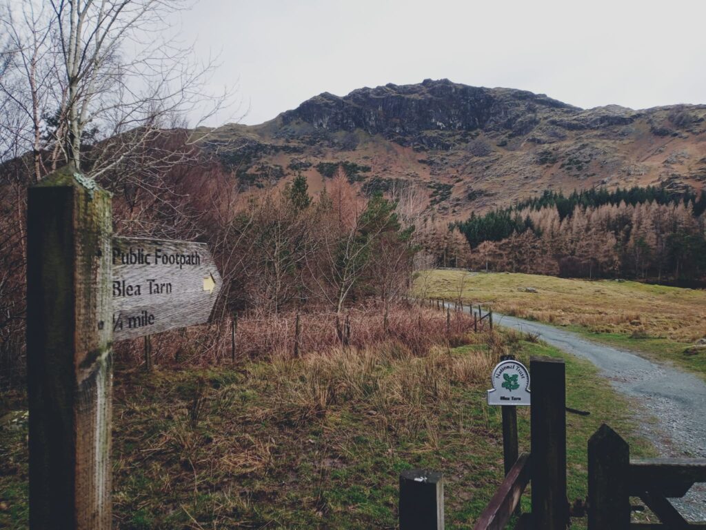 Blea Tarn Walk Guide (All You Need To Know) | The Walking Northerners