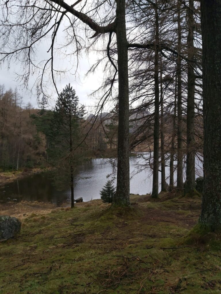 9 Incredible Wild Swimming Spots In The Lake District (Secret Gems ...