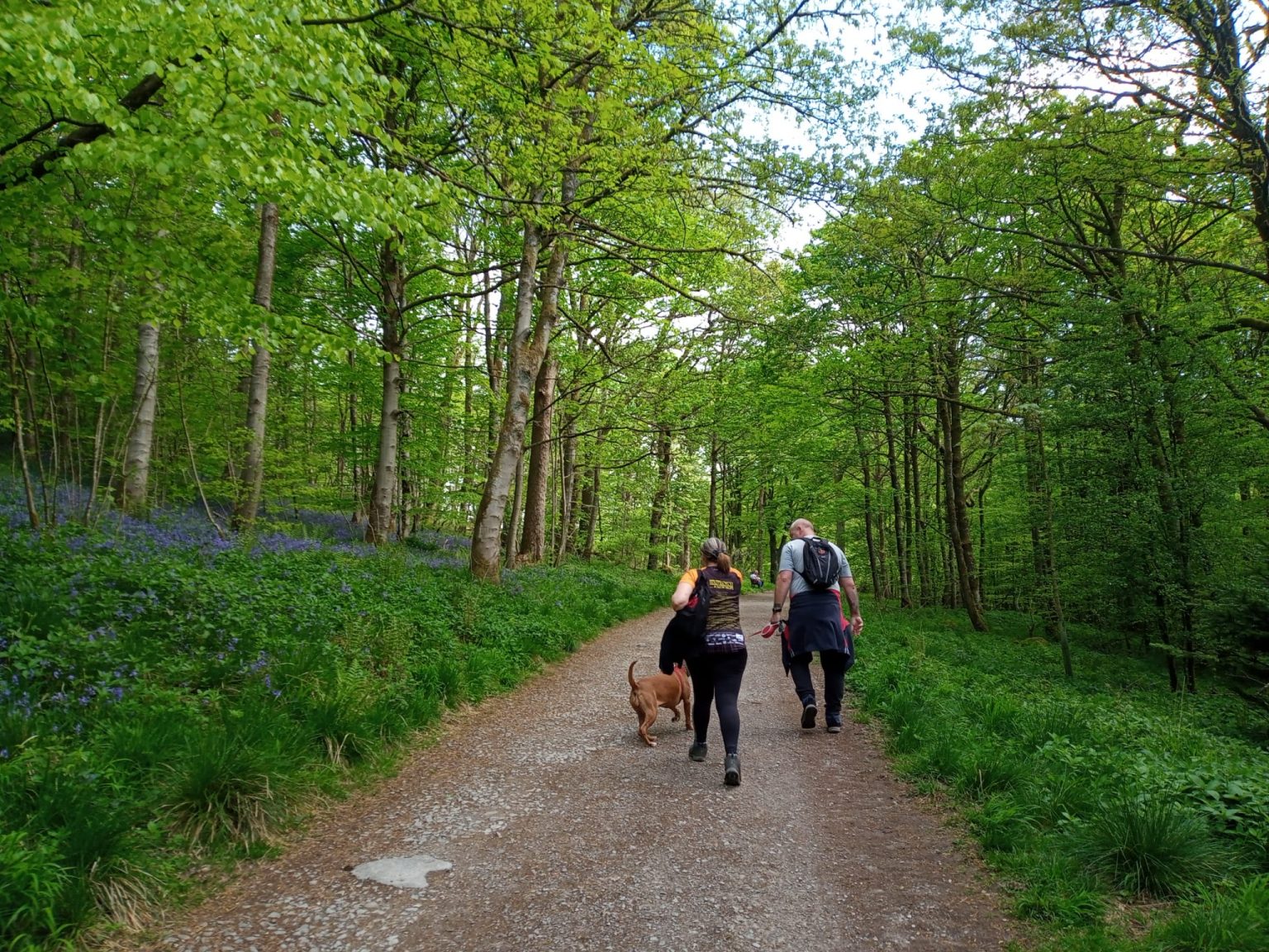 A Peek Inside Ingleborough Cave - All You Need To Know