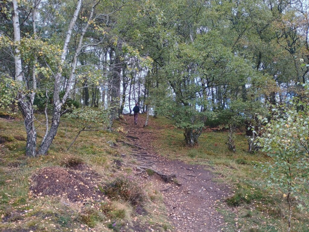 Loch Vaa Walk Guide: How To Find The Boathouse