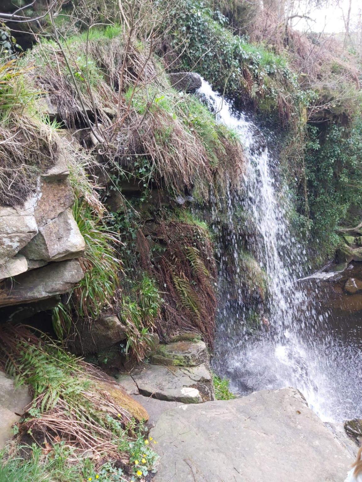 Ultimate Lumb Hole Falls Guide (How To Find The Hebden Bridge Waterfall ...