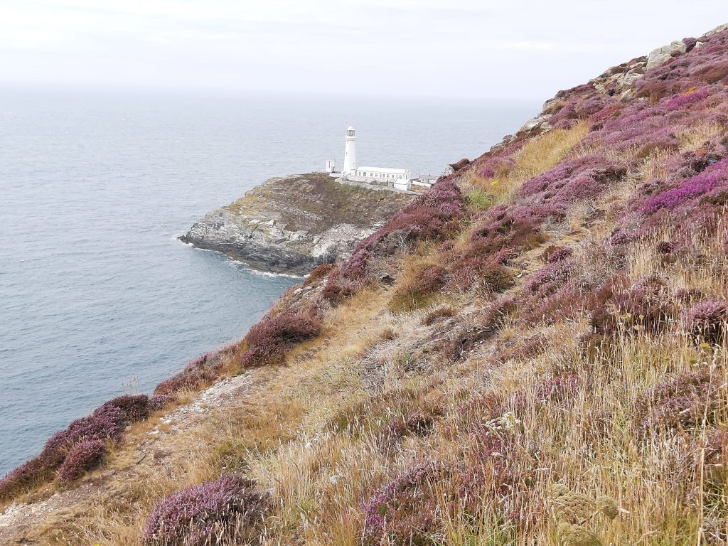 8 BEST Anglesey Walks To Try (Hidden Gems, Circular Trails & More!)