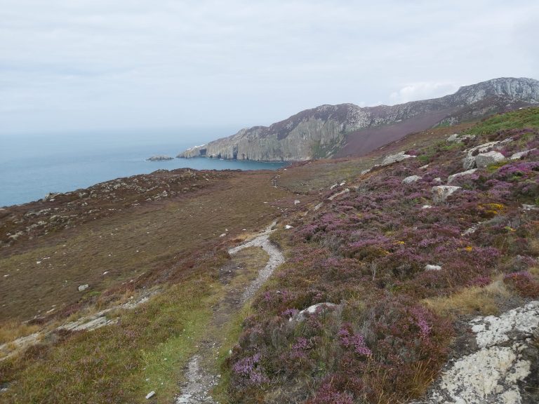 8 BEST Anglesey Walks To Try (Hidden Gems, Circular Trails & More!)