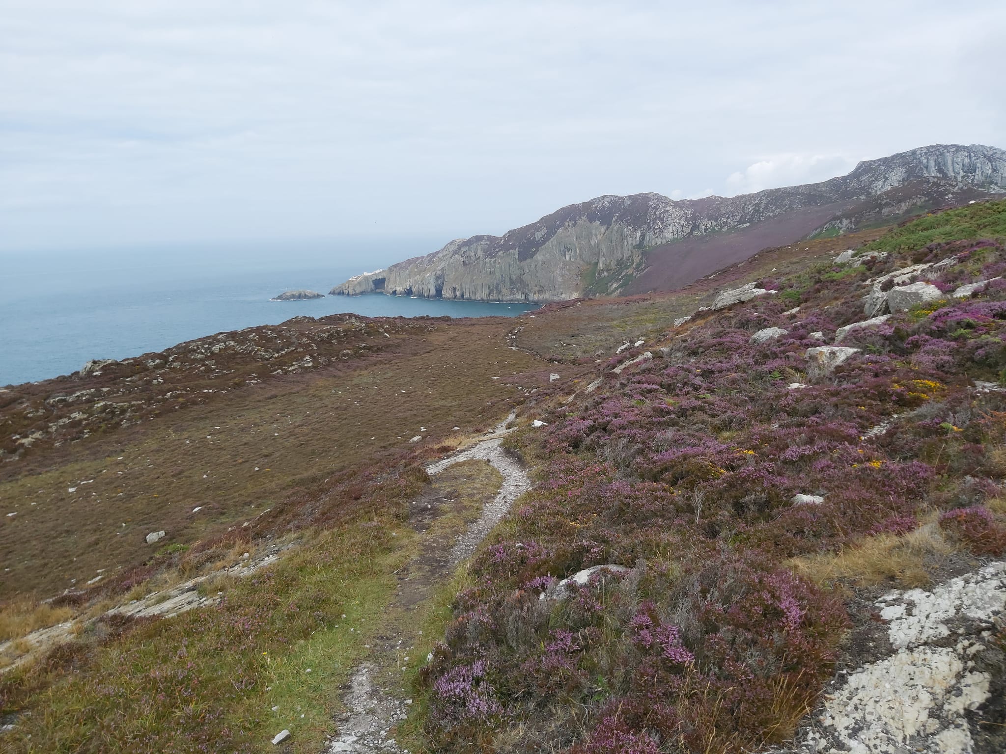 8 BEST Anglesey Walks To Try (Hidden Gems, Circular Trails & More!)