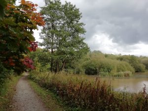 8 Of The BEST Dog Friendly Walks In & Near Manchester 🐕