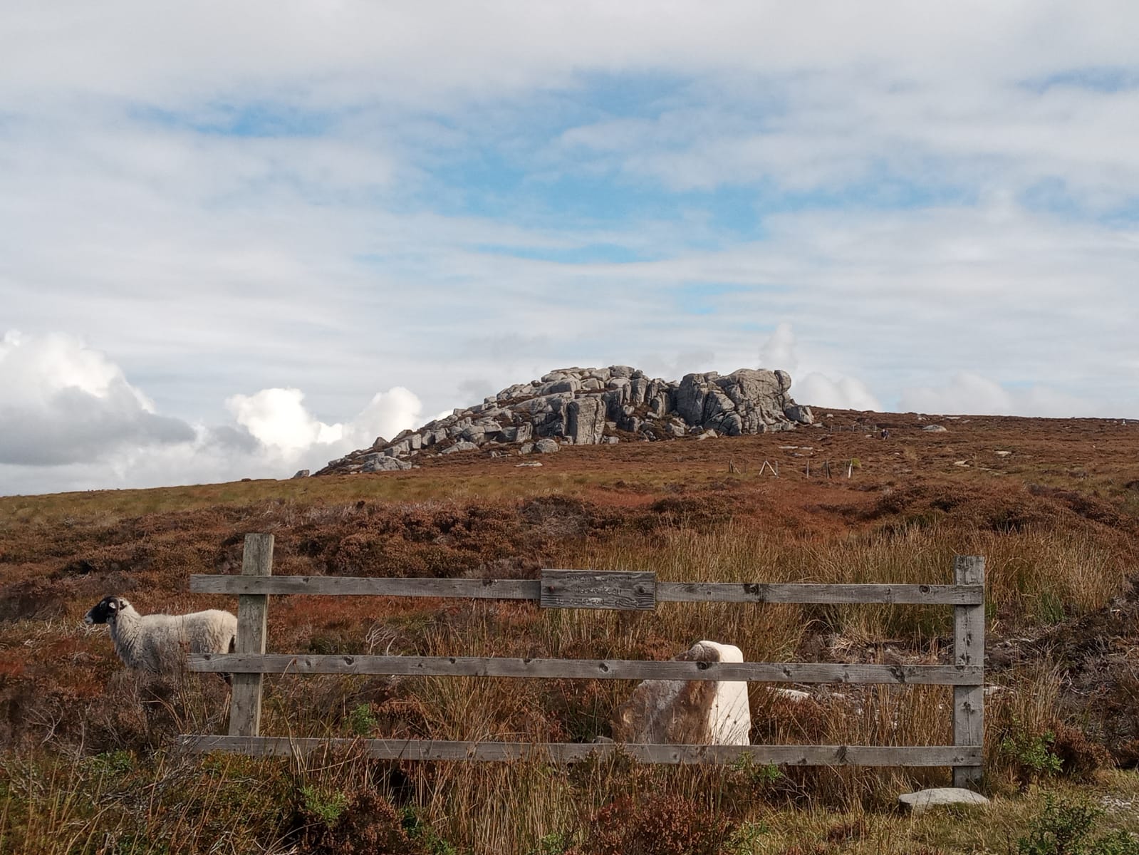 11 Of The BEST Walks In Yorkshire (Scenic Hikes, Hidden Gems & More!)