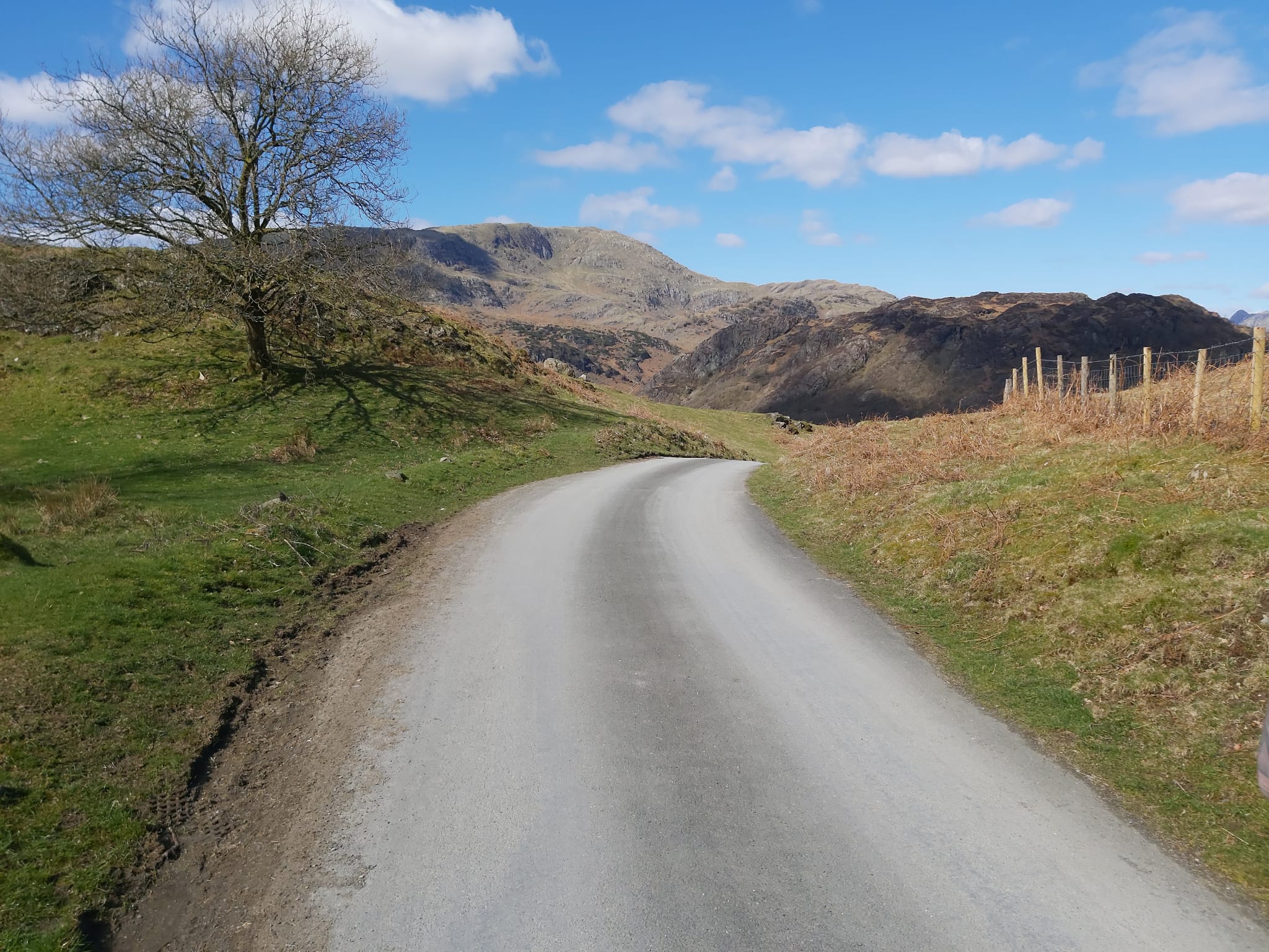 Ultimate Tarn Hows Guide (BEST Walk Routes, Parking & More) Lake District
