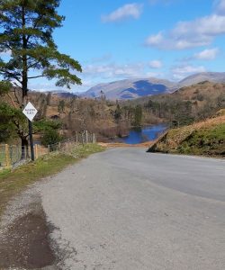 Ultimate Tarn Hows Guide (BEST Walk Routes, Parking & More) Lake District