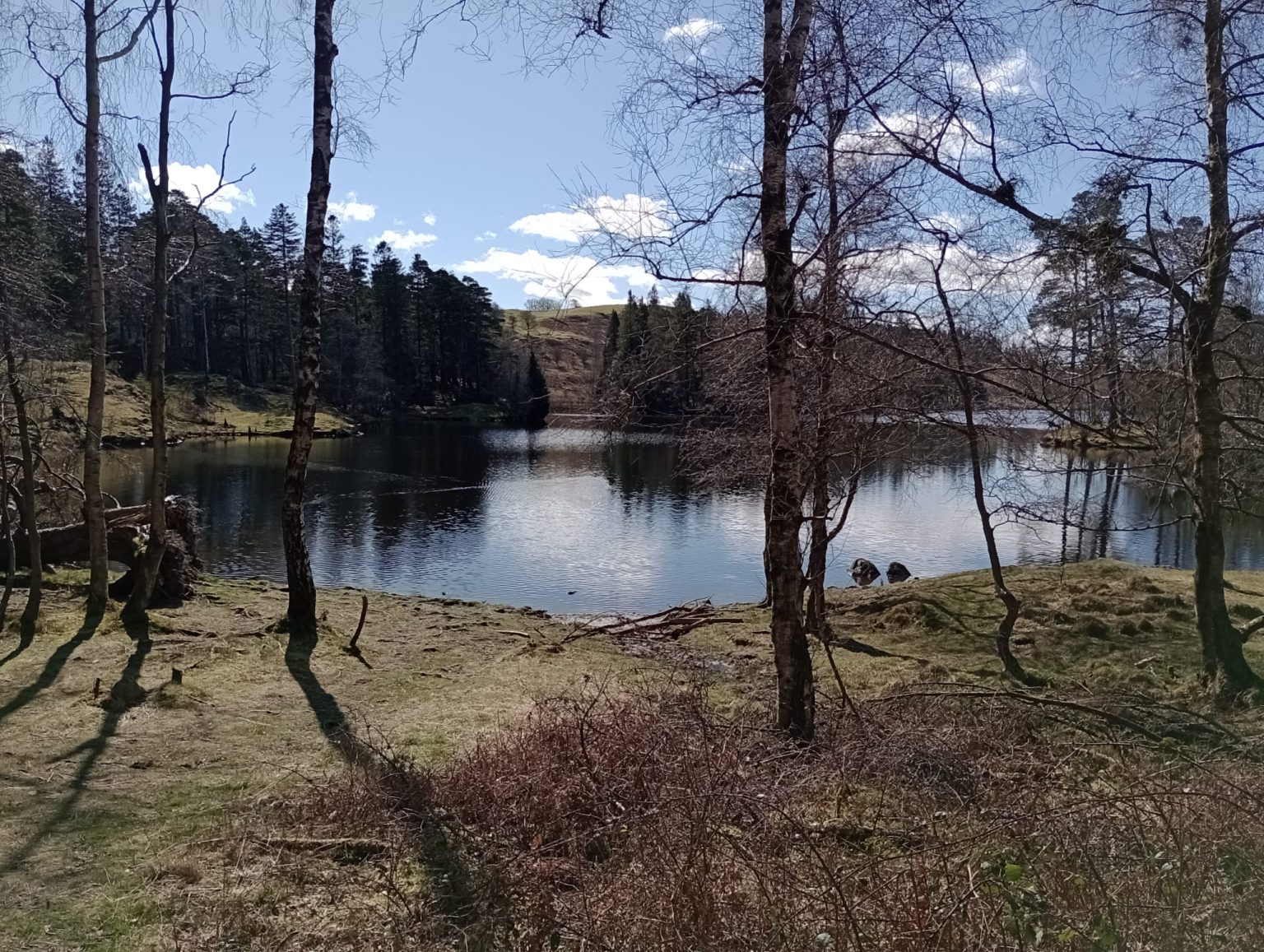 Ultimate Tarn Hows Guide (BEST Walk Routes, Parking & More) Lake District