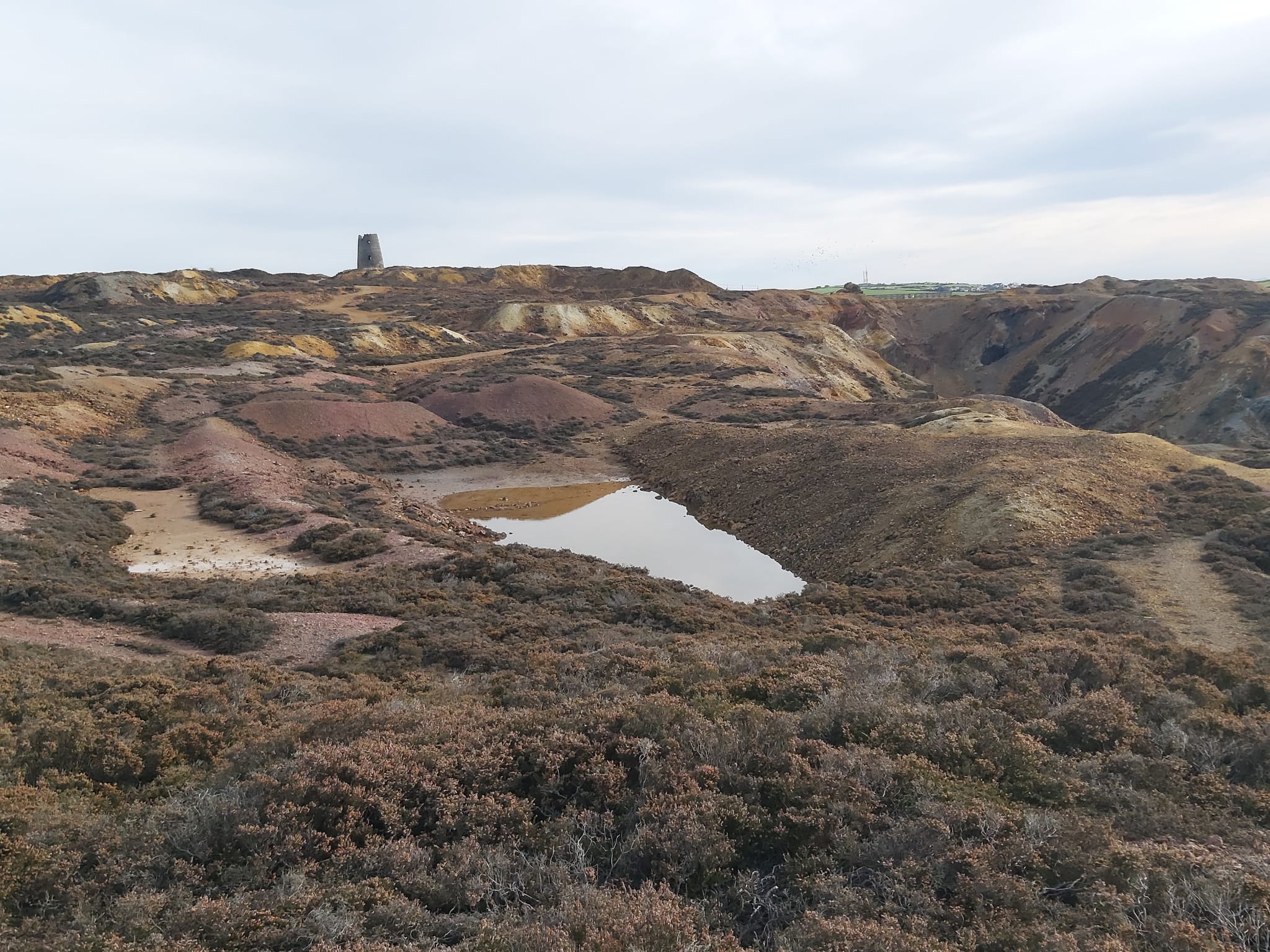 8 BEST Anglesey Walks To Try (Hidden Gems, Circular Trails & More!)