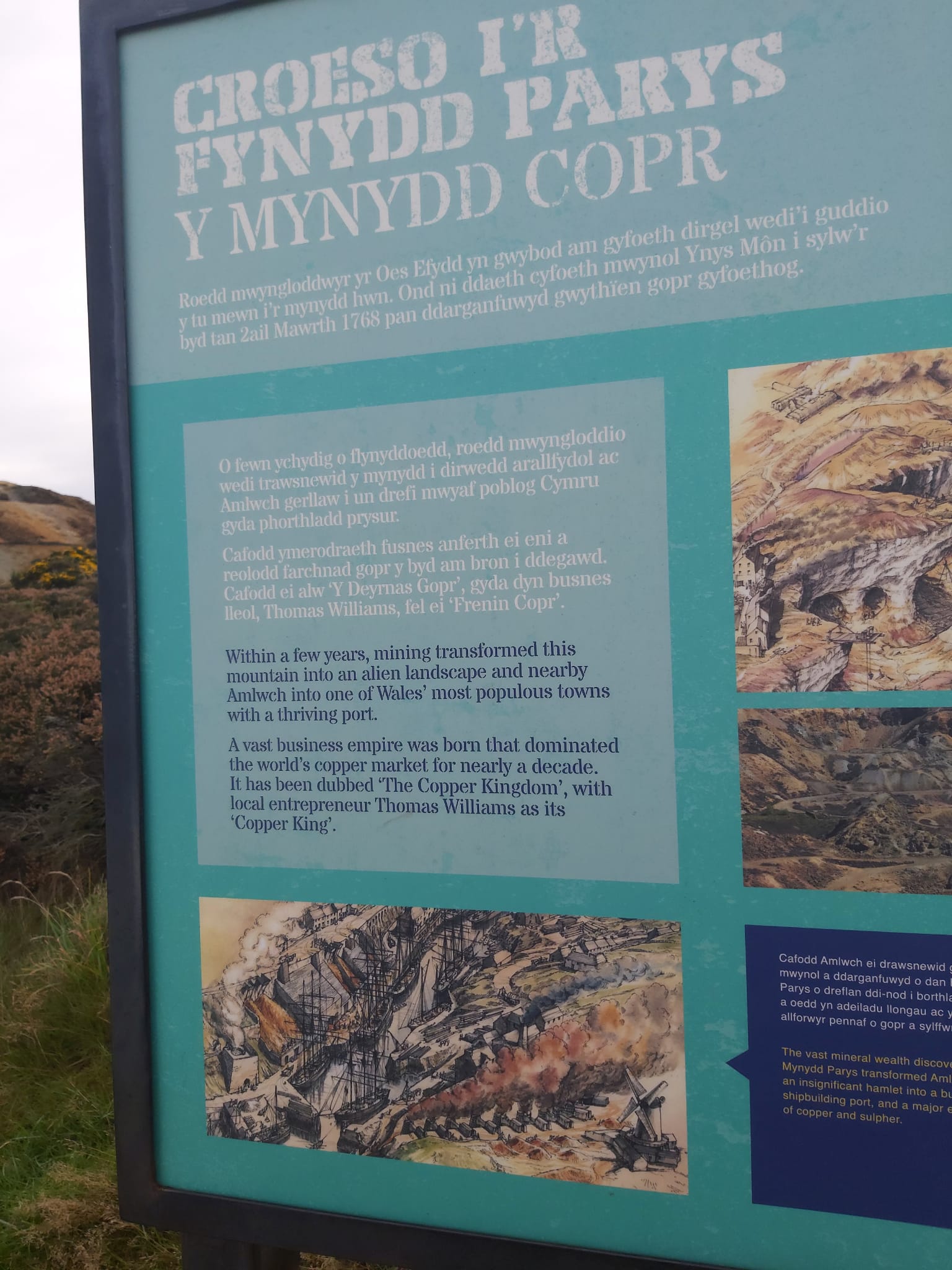 Ultimate Parys Mountain Walk Guide ⛏️ (Copper Kingdom, Anglesey’s ...
